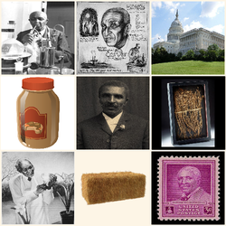 George Washington Carver Collage | Codesters Project