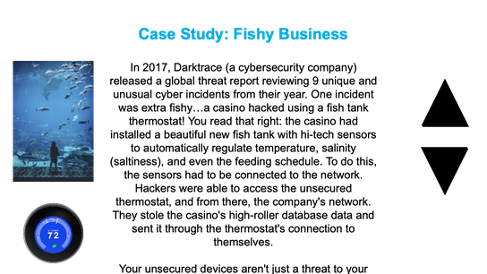 Internet of Things - Cybersecurity | Codesters Curriculum